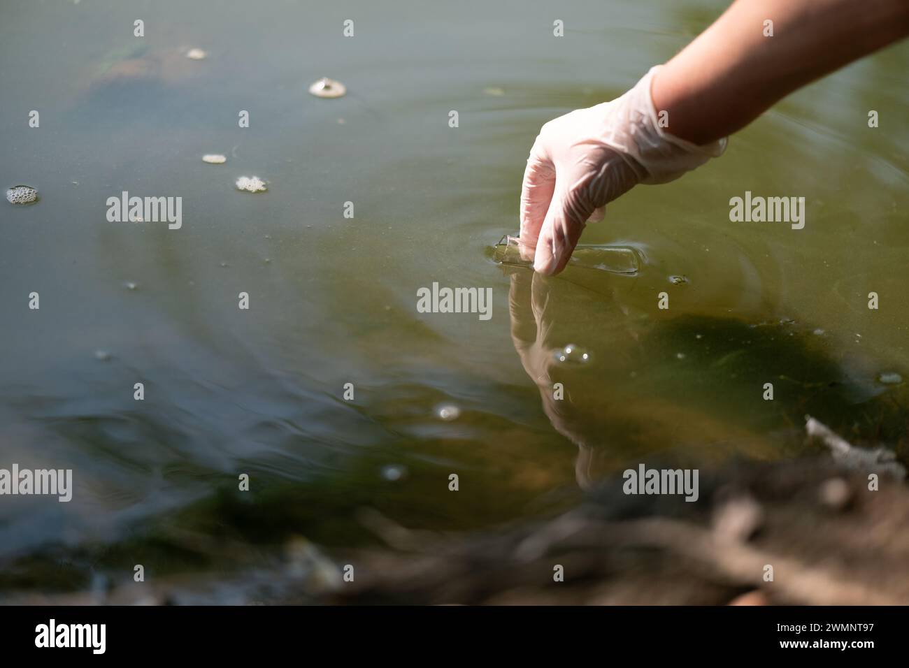 Sampling water for testing. Study of the quality of waste and drinking ...
