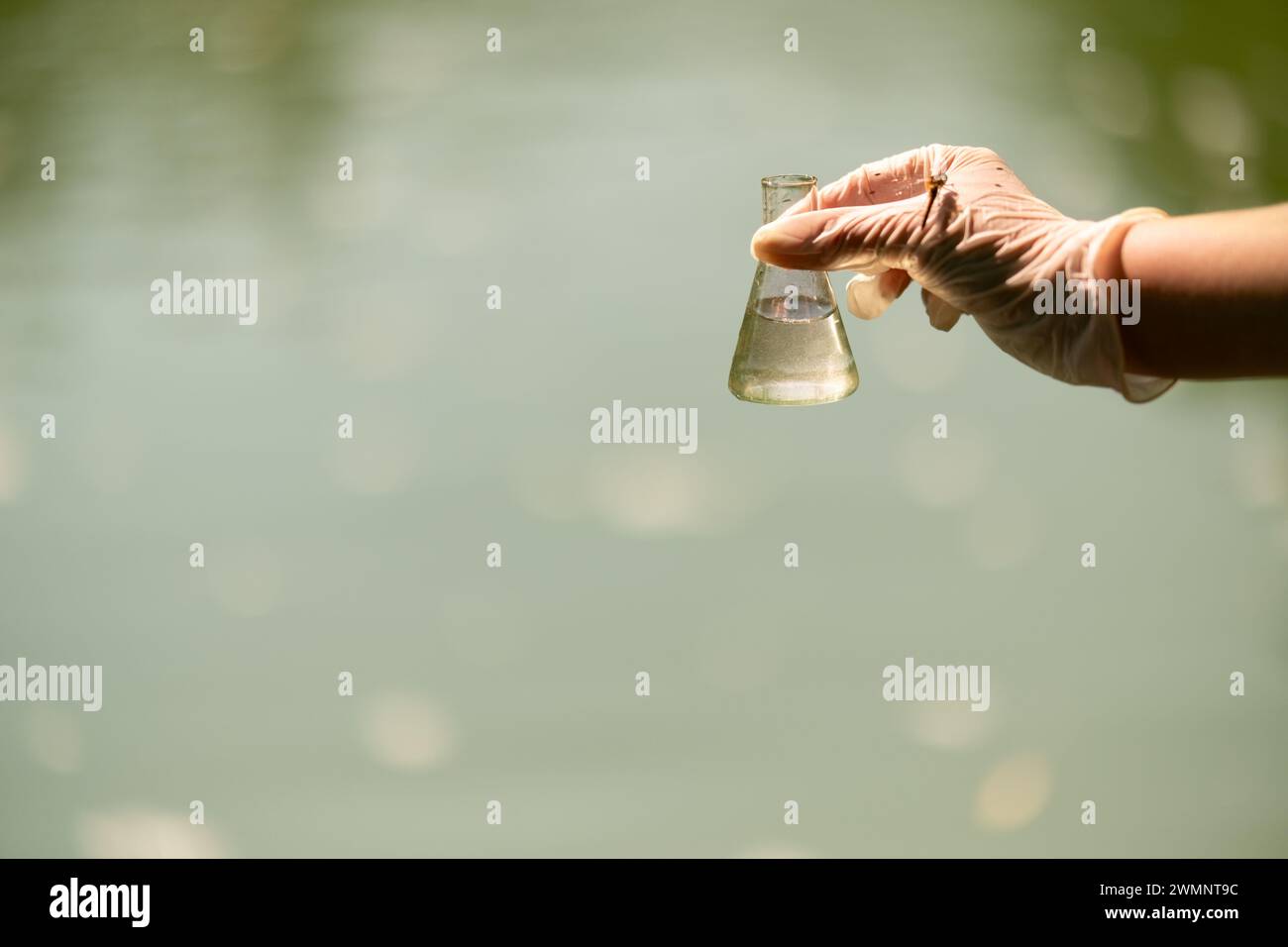Sampling water for testing. Study of the quality of waste and drinking ...