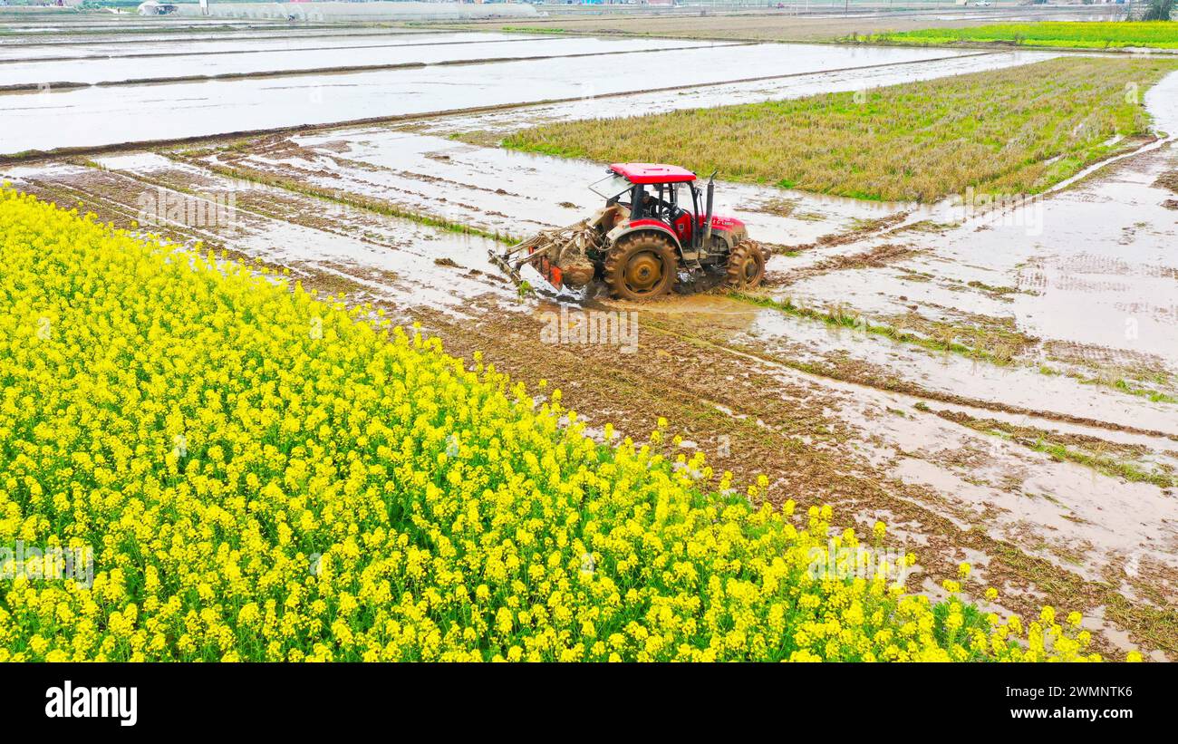 CHONGQING, CHINA - FEBRUARY 27, 2024 - Villagers drive a cultivator to ...