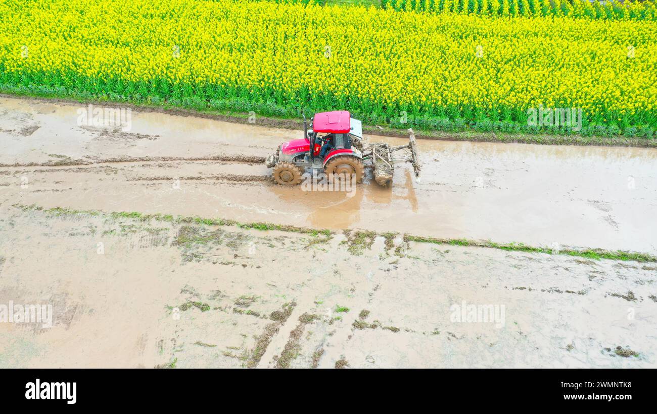 CHONGQING, CHINA - FEBRUARY 27, 2024 - Villagers drive a cultivator to ...