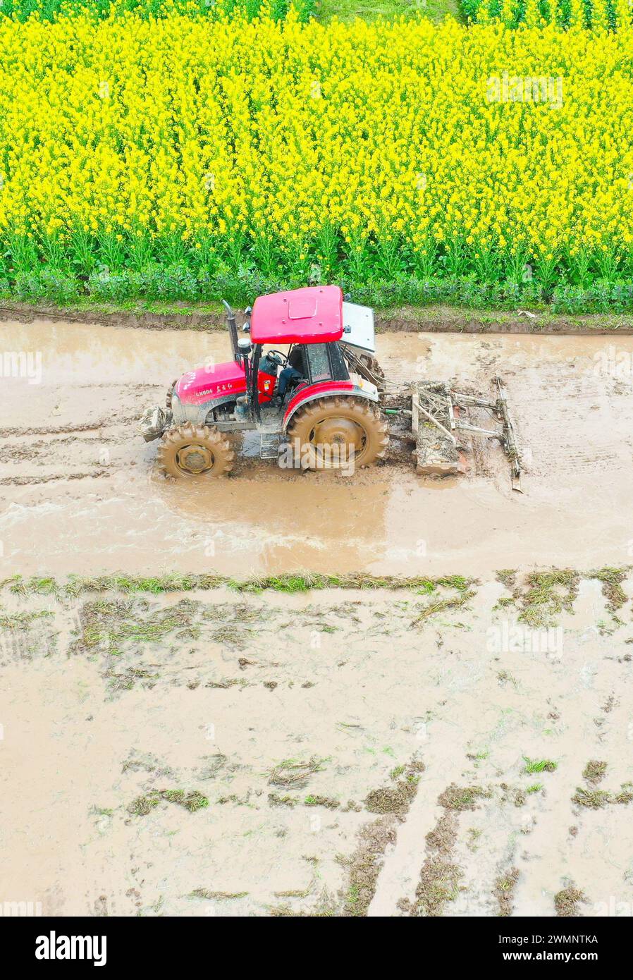 CHONGQING, CHINA - FEBRUARY 27, 2024 - Villagers drive a cultivator to ...