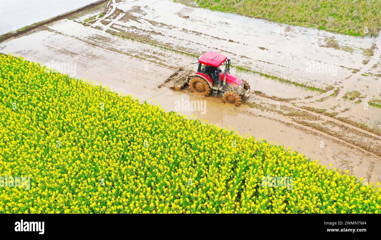 CHONGQING, CHINA - FEBRUARY 27, 2024 - Villagers drive a cultivator to ...