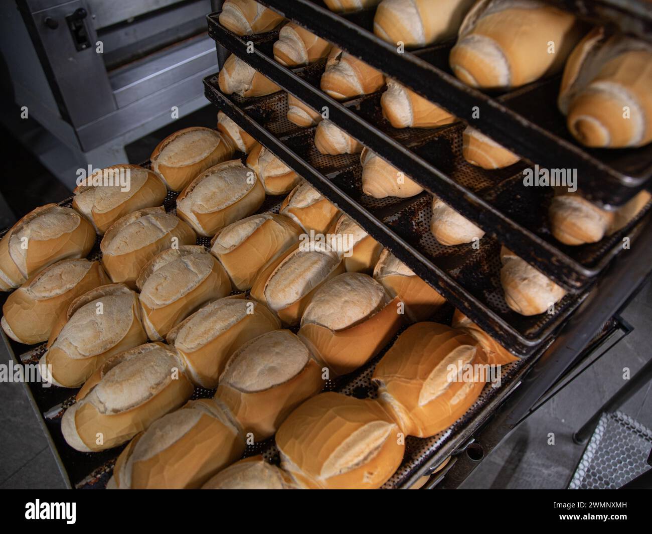 French bread in production inside the bakery Stock Photo - Alamy