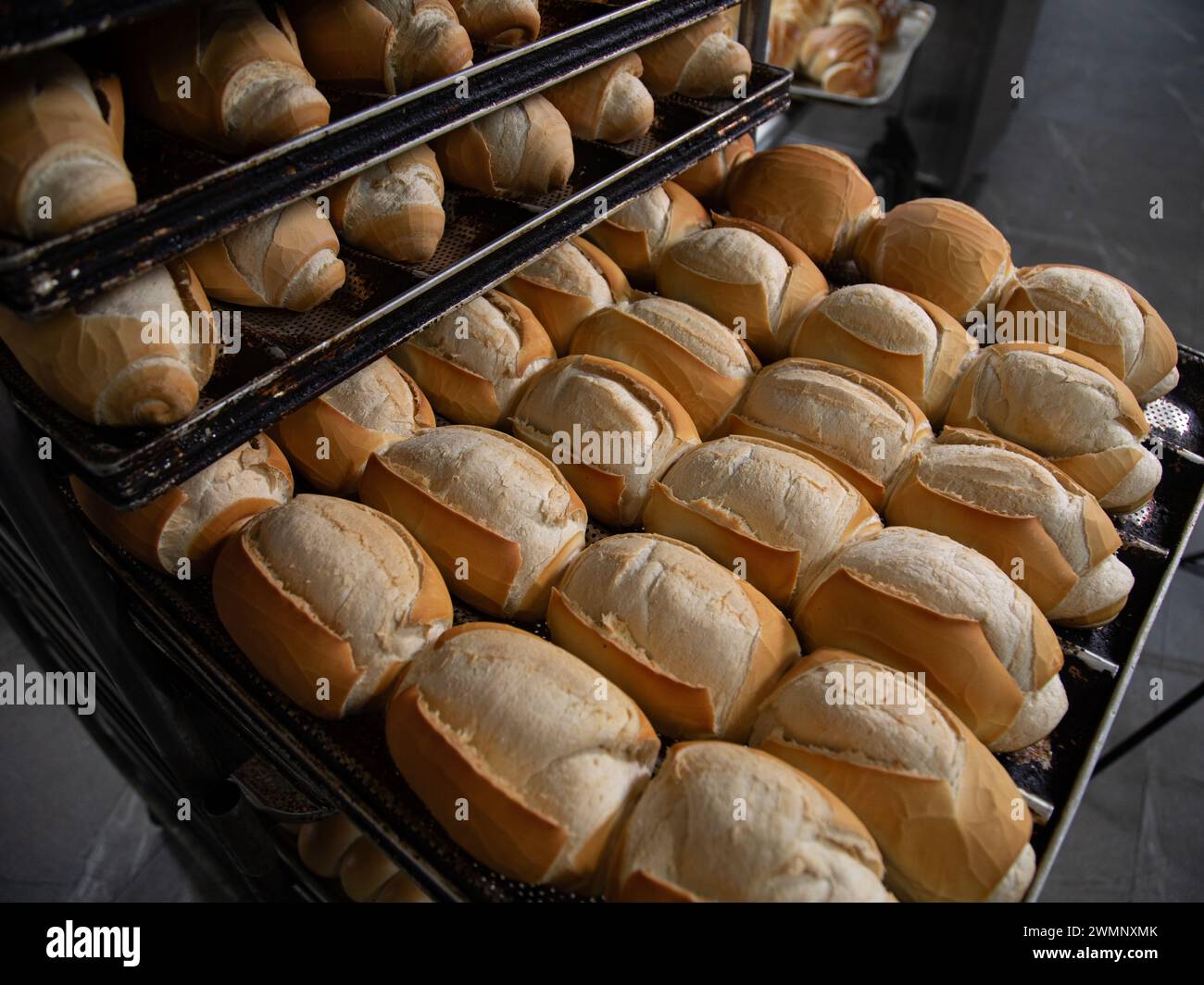 Inside french bakery hi-res stock photography and images - Alamy