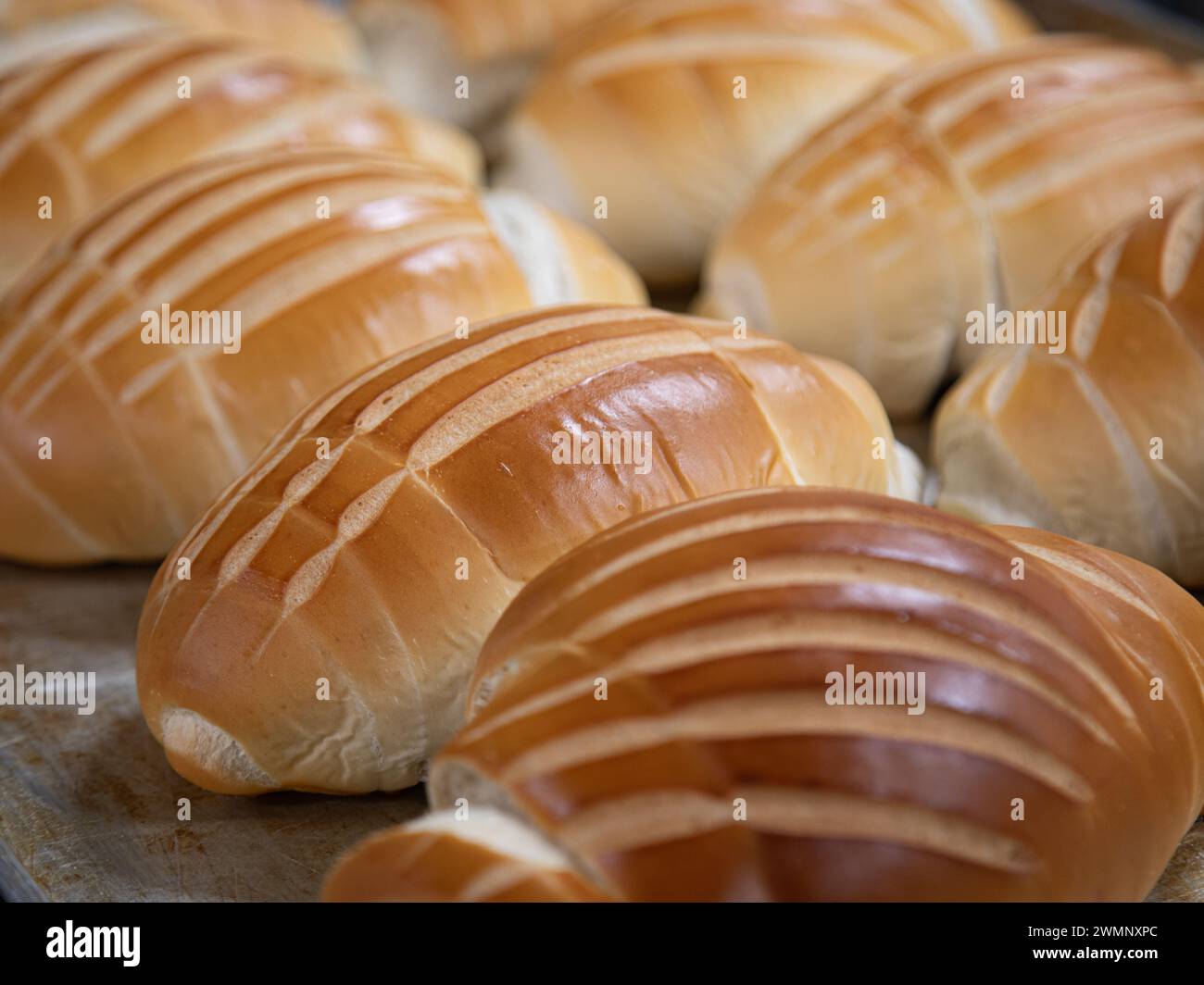Bread production bakery fresh bread hi-res stock photography and images ...
