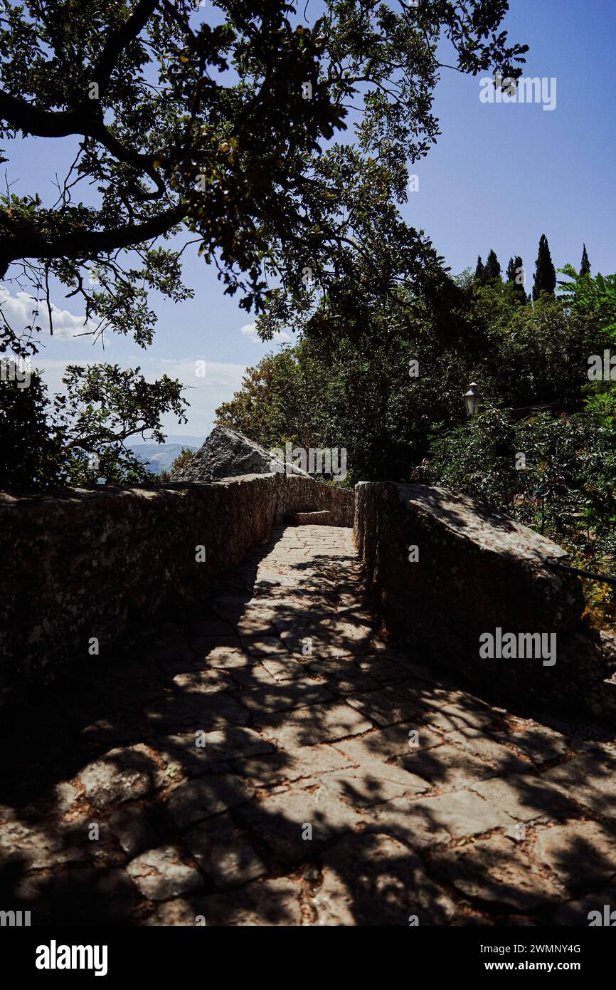 Mediterranean trees hi-res stock photography and images - Alamy