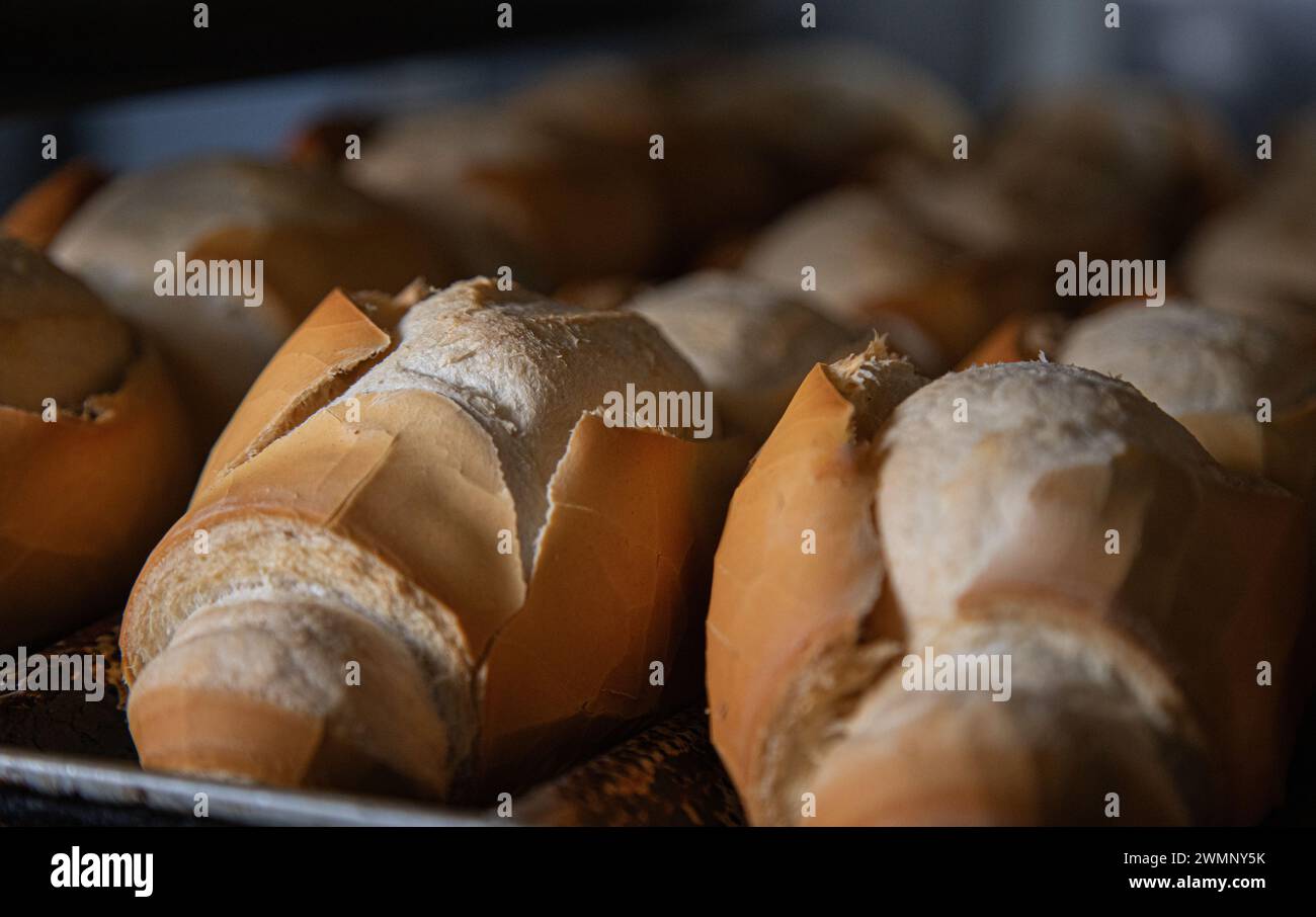 French bread in production inside the bakery Stock Photo - Alamy