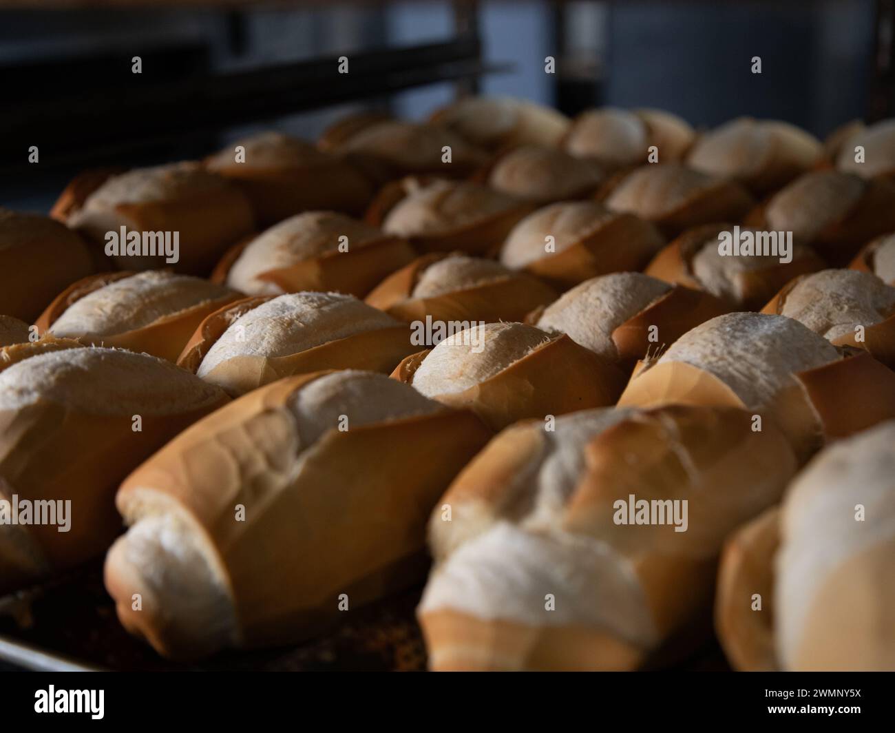 French bread in production inside the bakery Stock Photo - Alamy