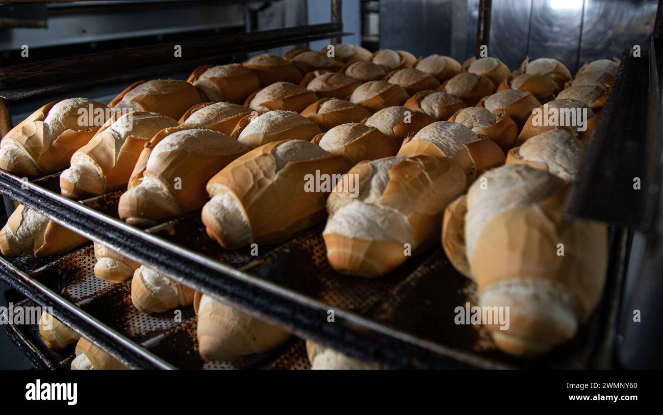 French bread in production inside the bakery Stock Photo - Alamy