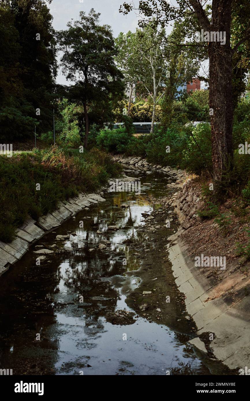 River among trees hi-res stock photography and images - Alamy