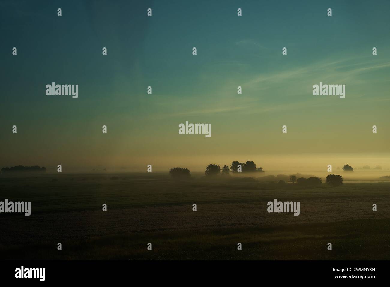 the trees in a field shrouded in fog at dawn from a bus window Stock ...