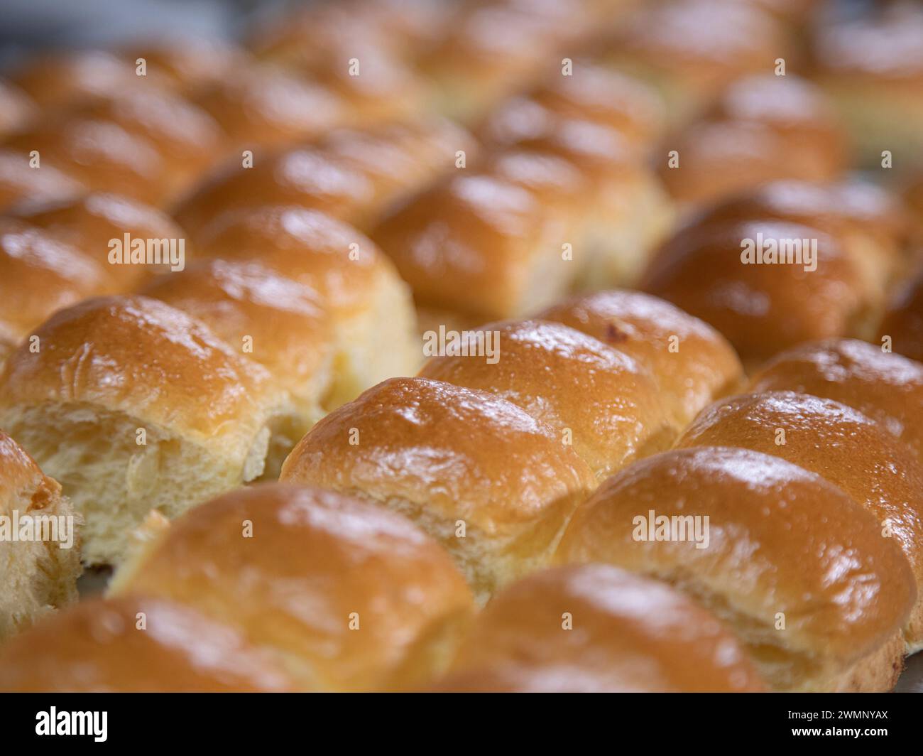 bread in production inside the bakery Stock Photo - Alamy