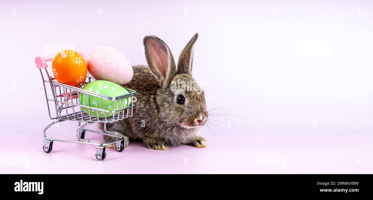 Easter bunny with eggs in trolley on pink background Stock Photo - Alamy