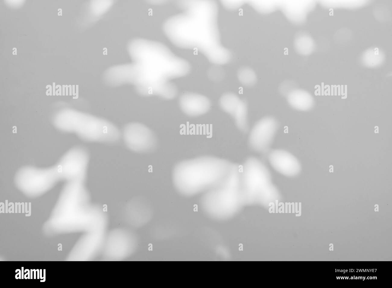 Sunlight casting shadow on white wall Stock Photo - Alamy