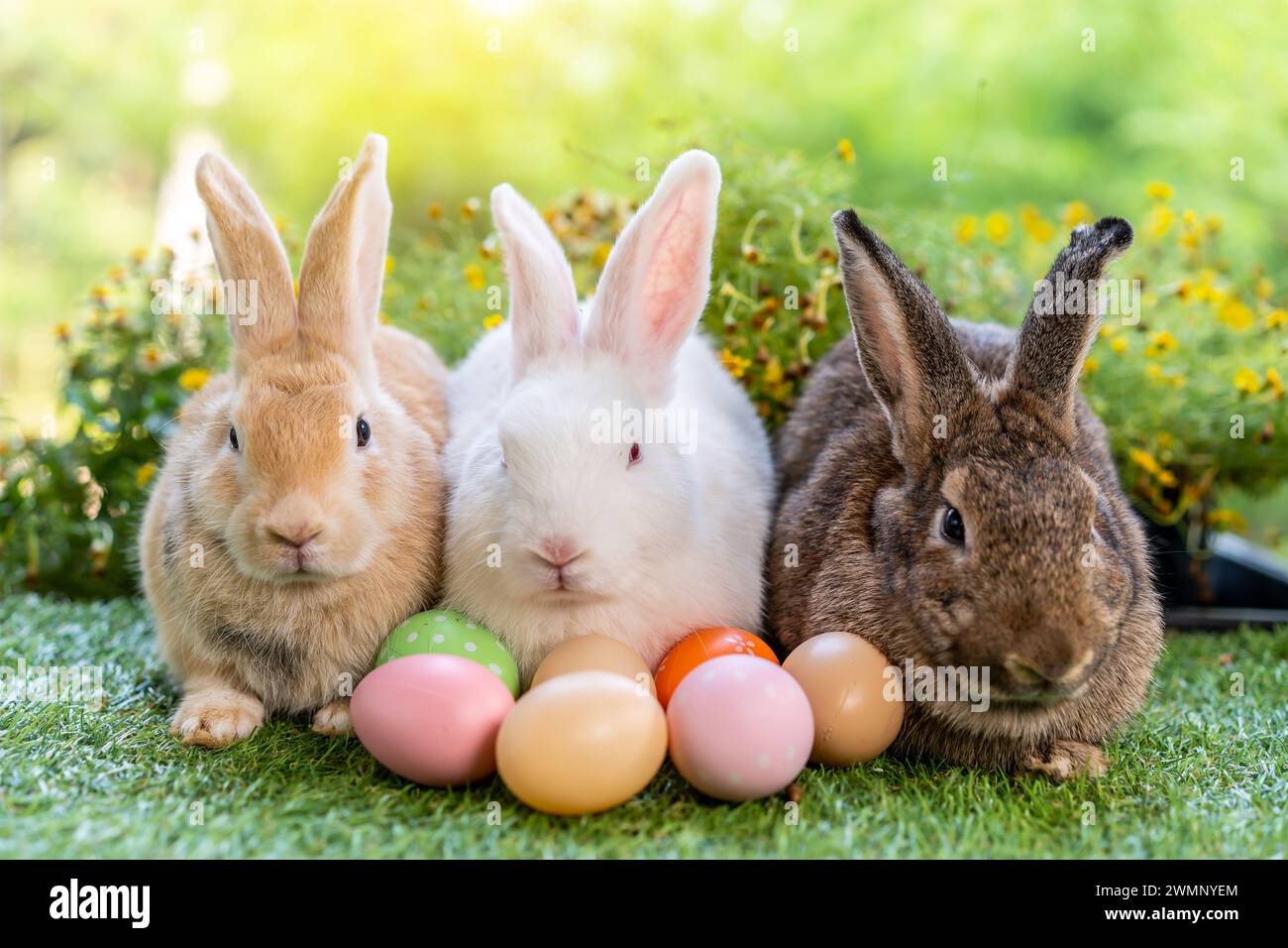 Joyful collection hi-res stock photography and images - Alamy