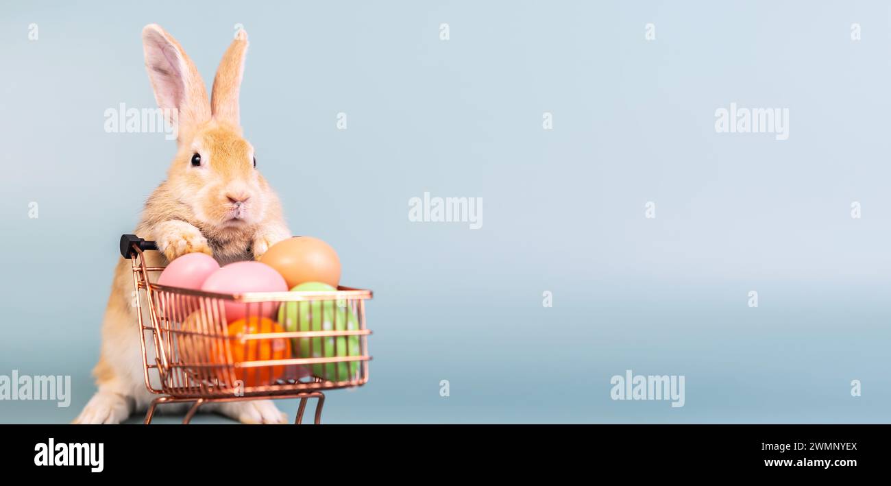 Eggs shopping trolley basket hi-res stock photography and images - Alamy