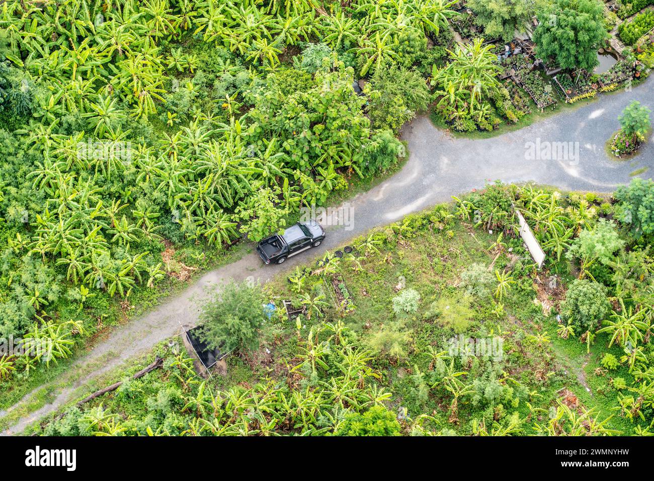 An aerial view of an SUV driving on the road amidst coconut trees Stock ...