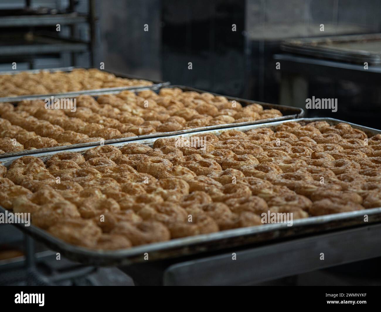 Cookie factory food industry Fabrication Cookie production Stock Photo ...
