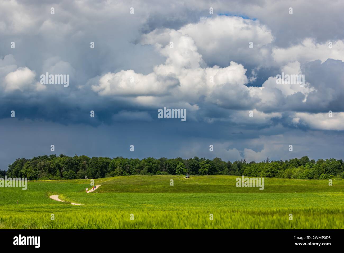 Eine Gewitterfront von Oberglatt aus gesehen in Richtung Schwarzwald ...