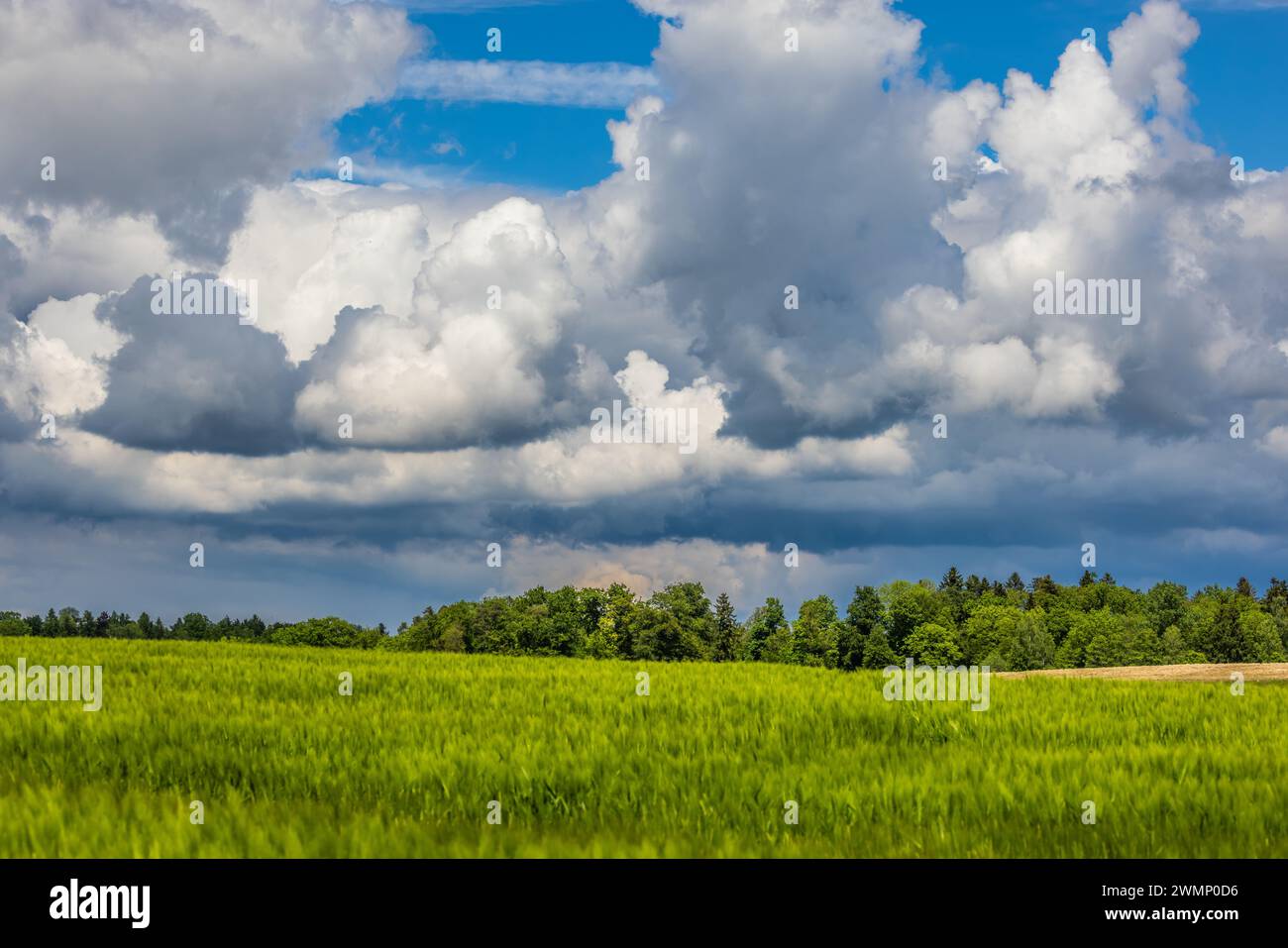 Eine Gewitterfront von Oberglatt aus gesehen in Richtung Schwarzwald ...