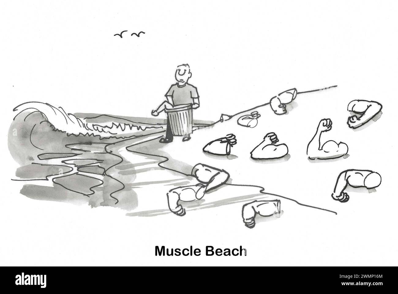 BW cartoon of many muscles laying on a beach. The beach is called ...