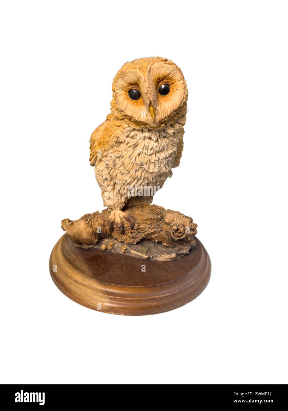 Big owl face Cut Out Stock Images & Pictures - Alamy