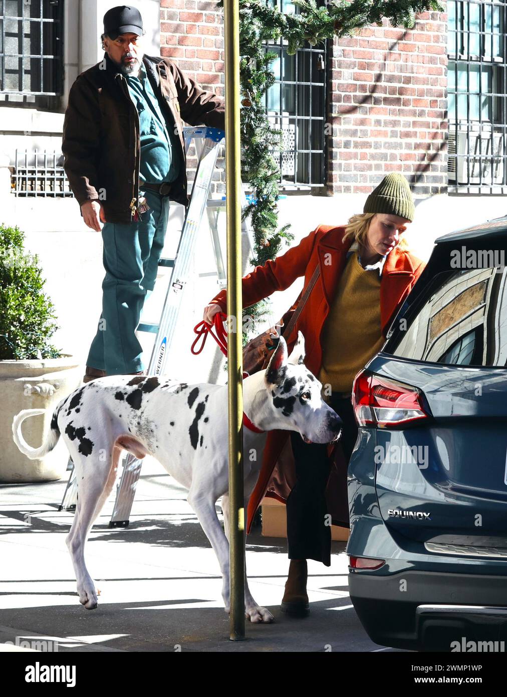 Naomi Watts pictured braving the cold to film scenes at 'The Friend ...