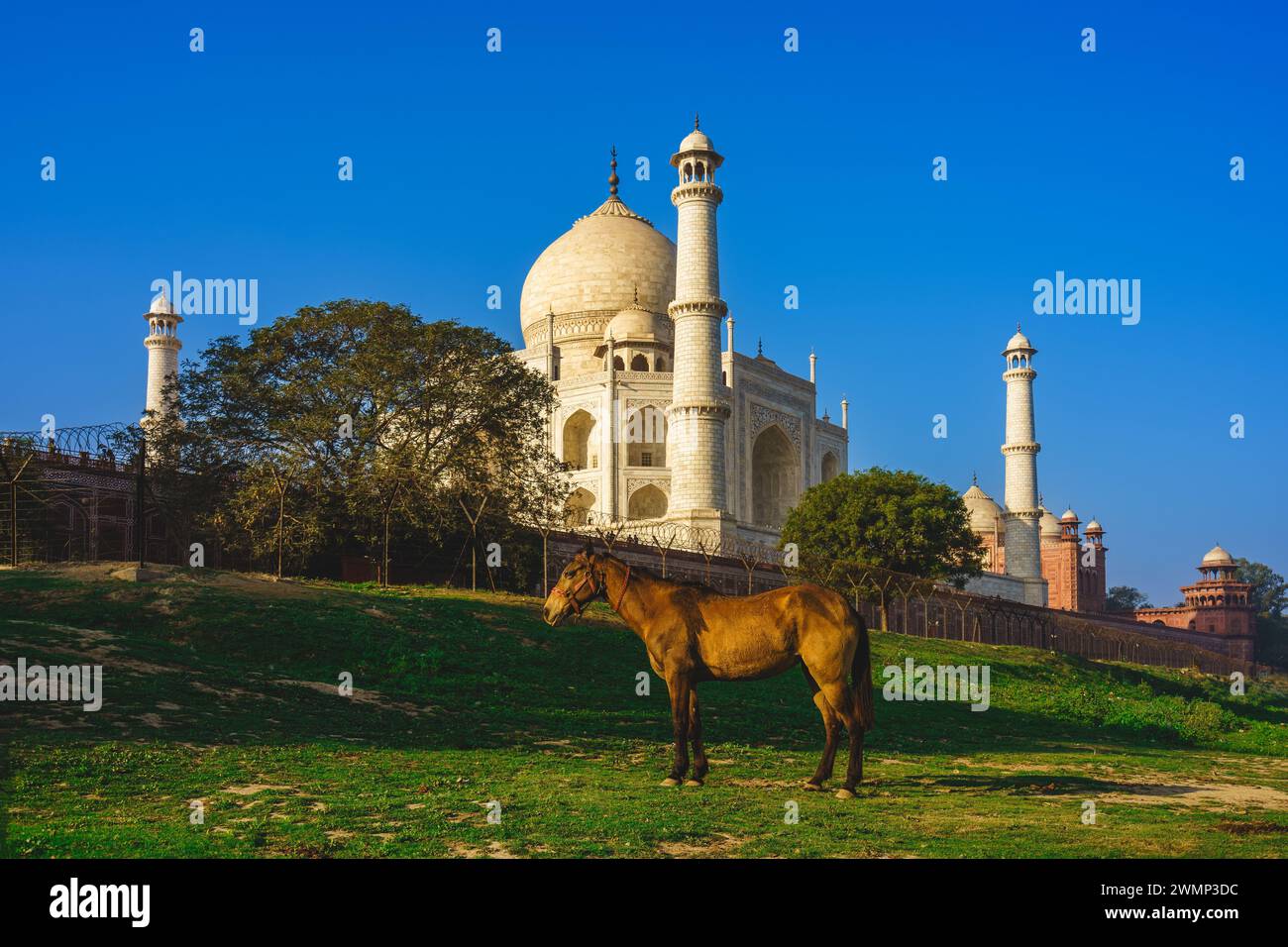 World famous taj mahal hi-res stock photography and images - Alamy