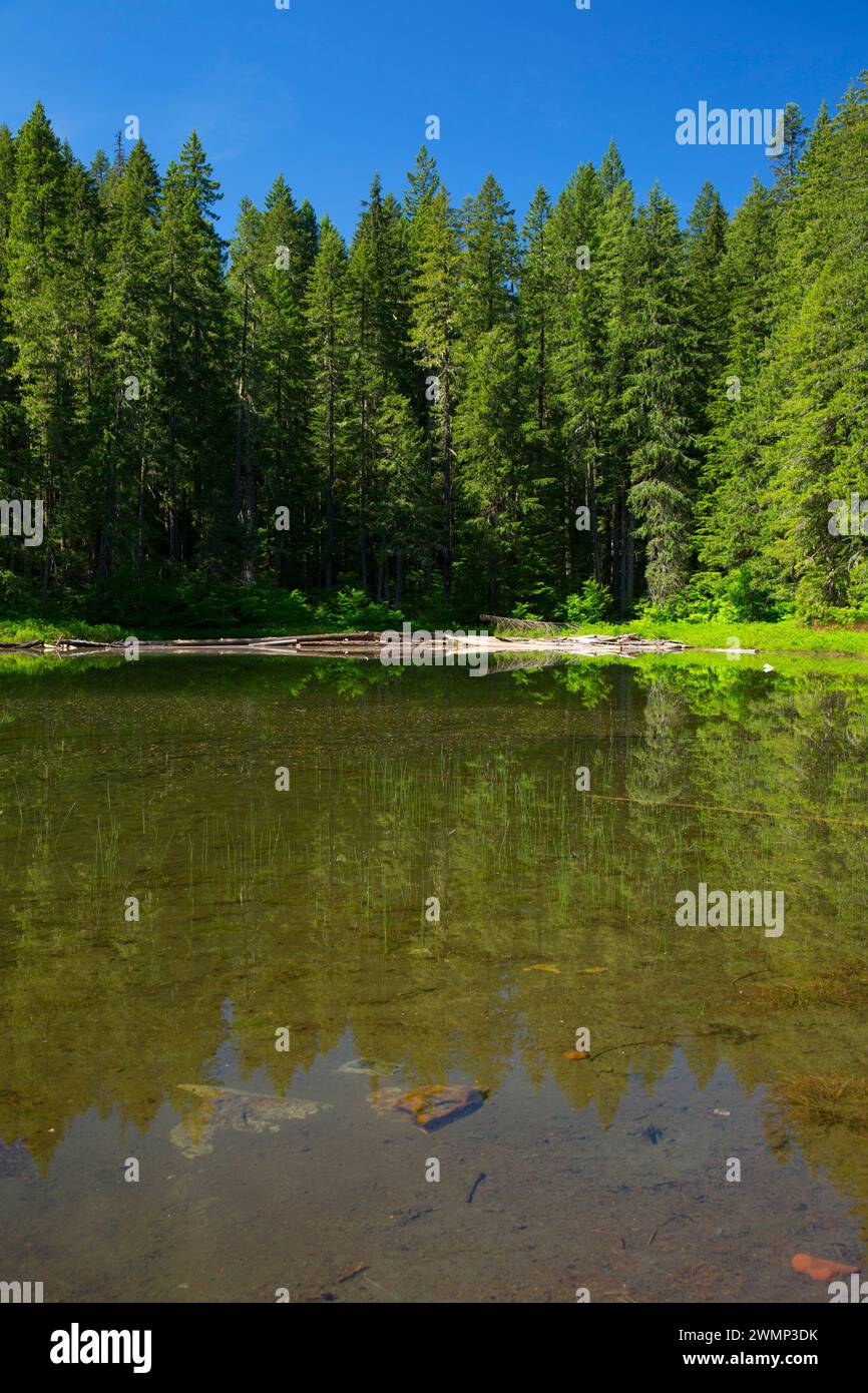Fay Lake, Willamette National Forest, Oregon Stock Photo - Alamy