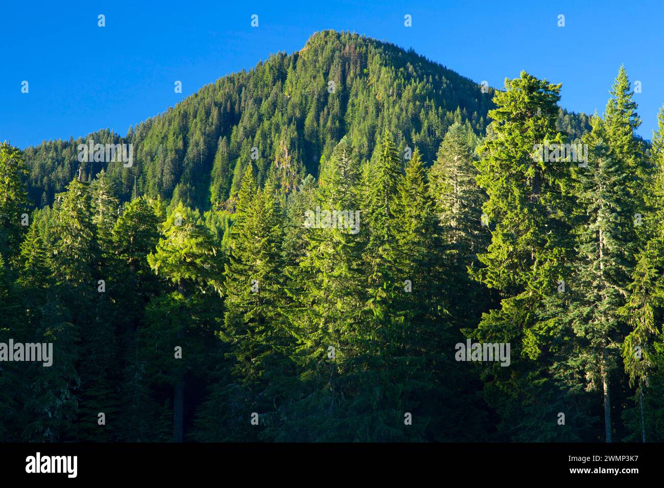 Three Pyramids from Parrish Lake, Willamette National Forest, Oregon ...