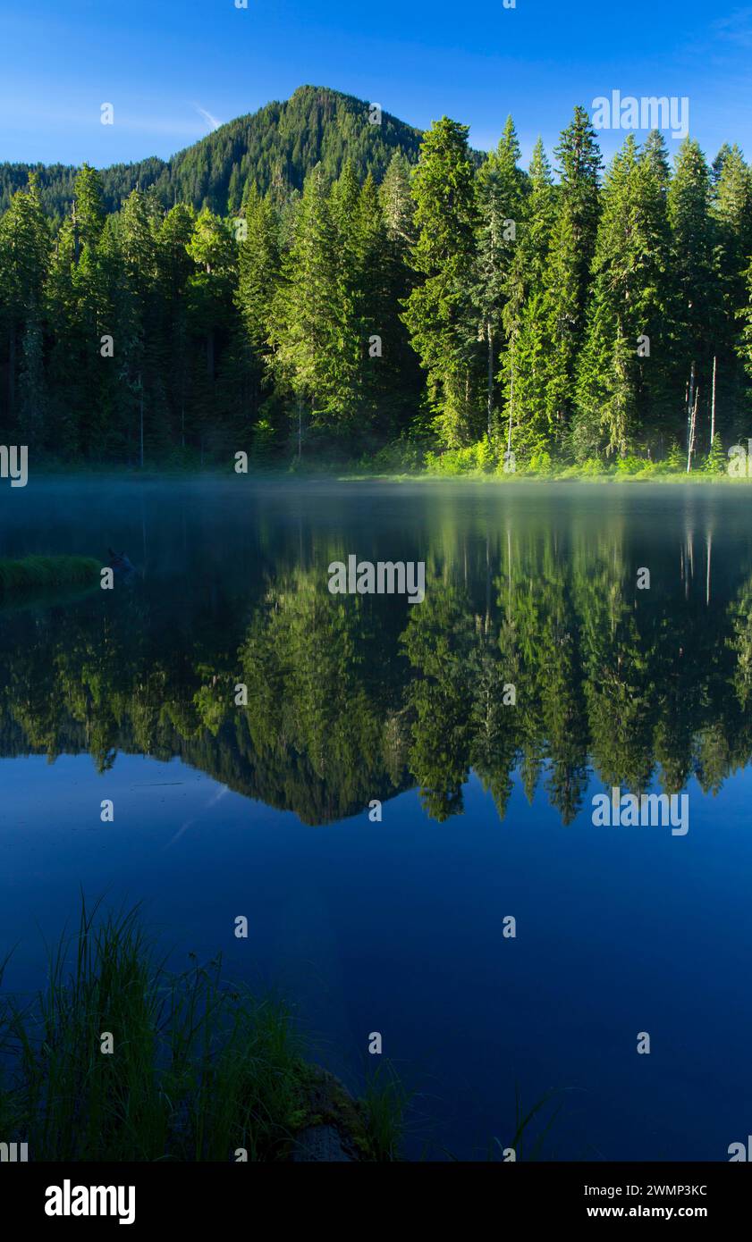 Three Pyramids from Parrish Lake, Willamette National Forest, Oregon ...