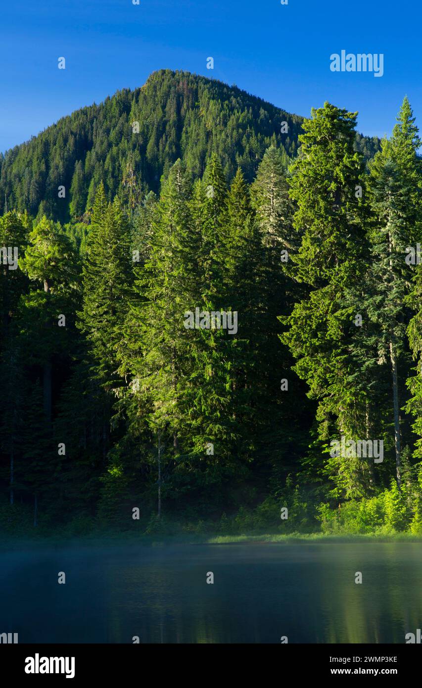 Three Pyramids from Parrish Lake, Willamette National Forest, Oregon ...