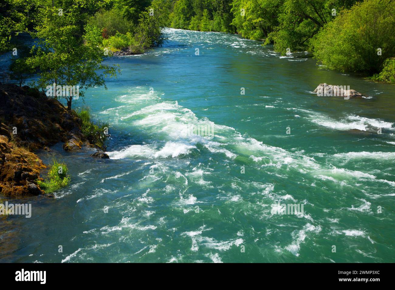 Middle Fork Willamette River, Greenwaters Park, Oakridge, Oregon Stock ...