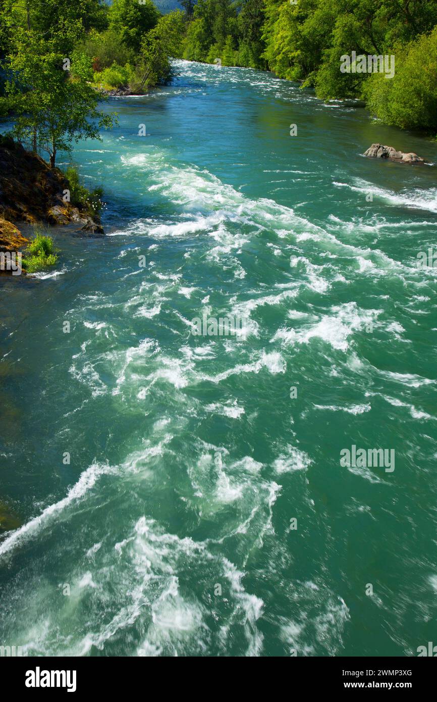 Middle Fork Willamette River, Greenwaters Park, Oakridge, Oregon Stock ...