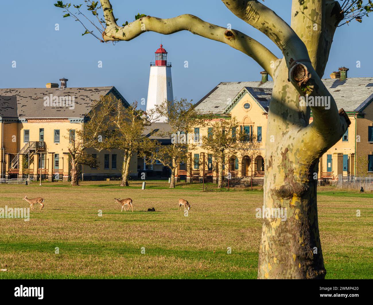 Sandy Hook Lighthouse is the oldest working lighthouse in the USA. It ...