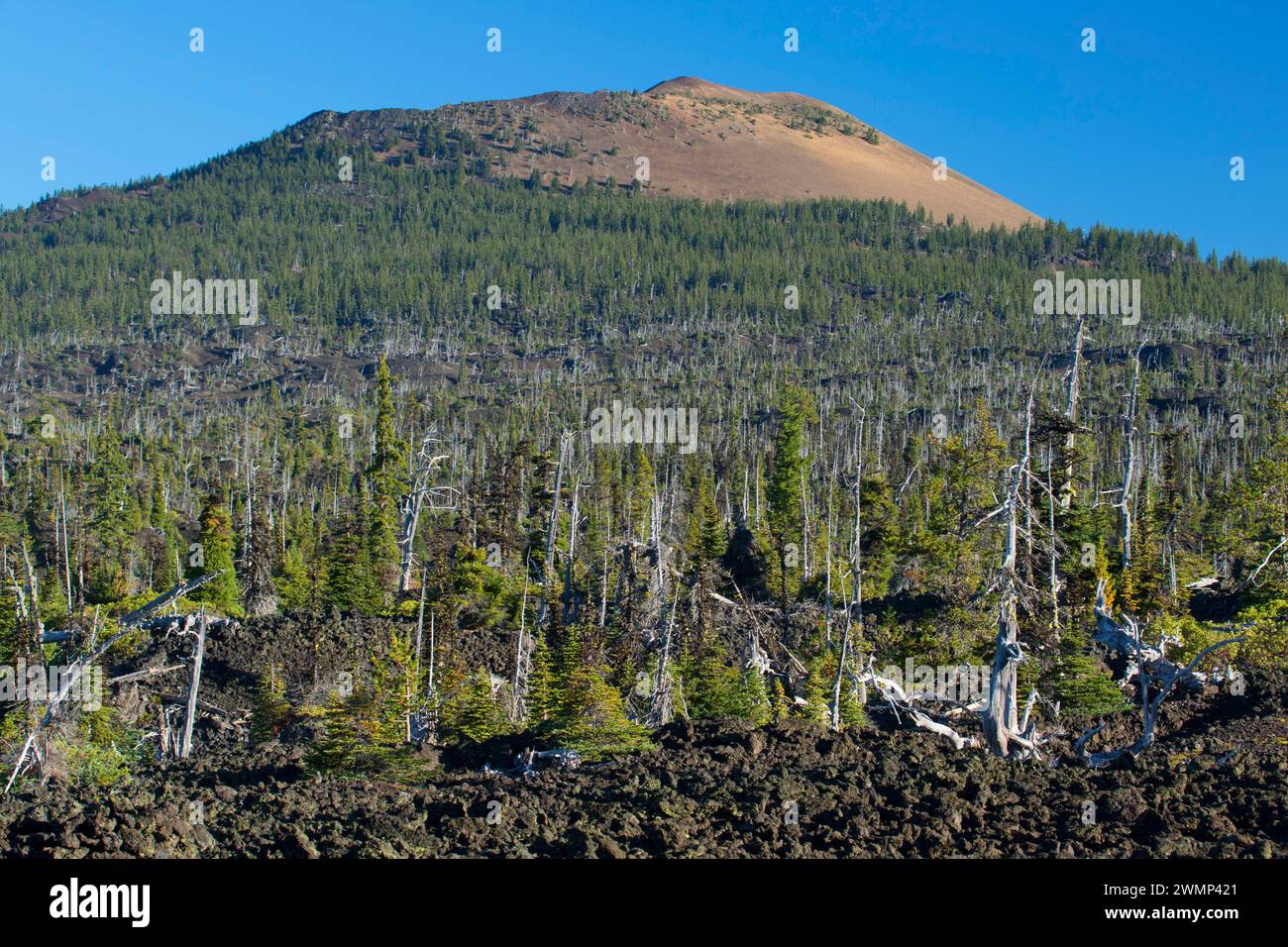 Belknap Crater from McKenzie Pass, McKenzie Pass-Santiam Pass National ...