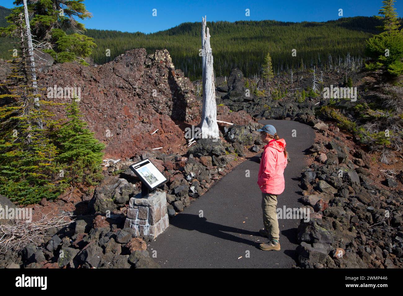 Interpretive board on Lava River National Recreation Trail, McKenzie ...
