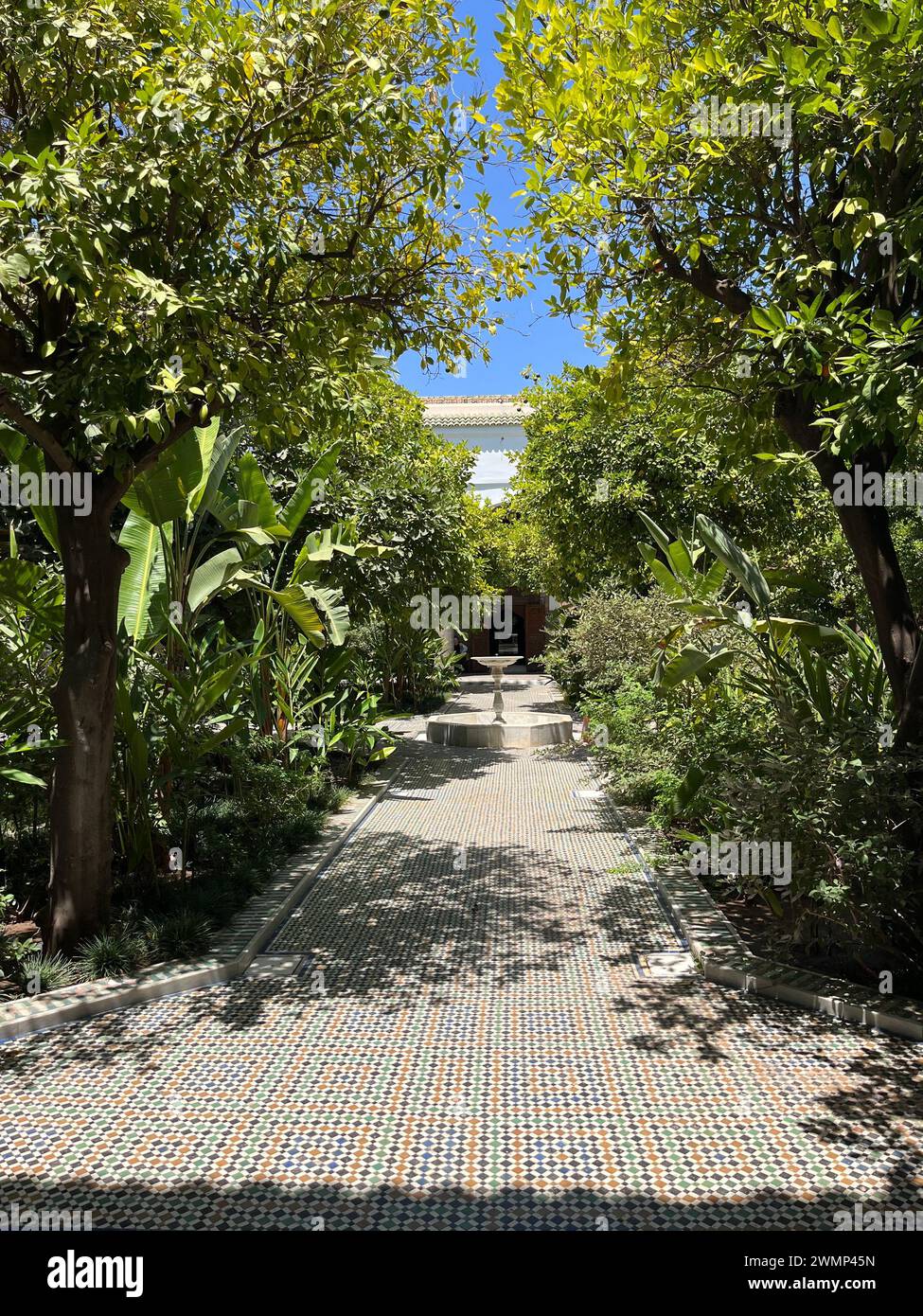 Pathway through vegetation hi-res stock photography and images - Alamy