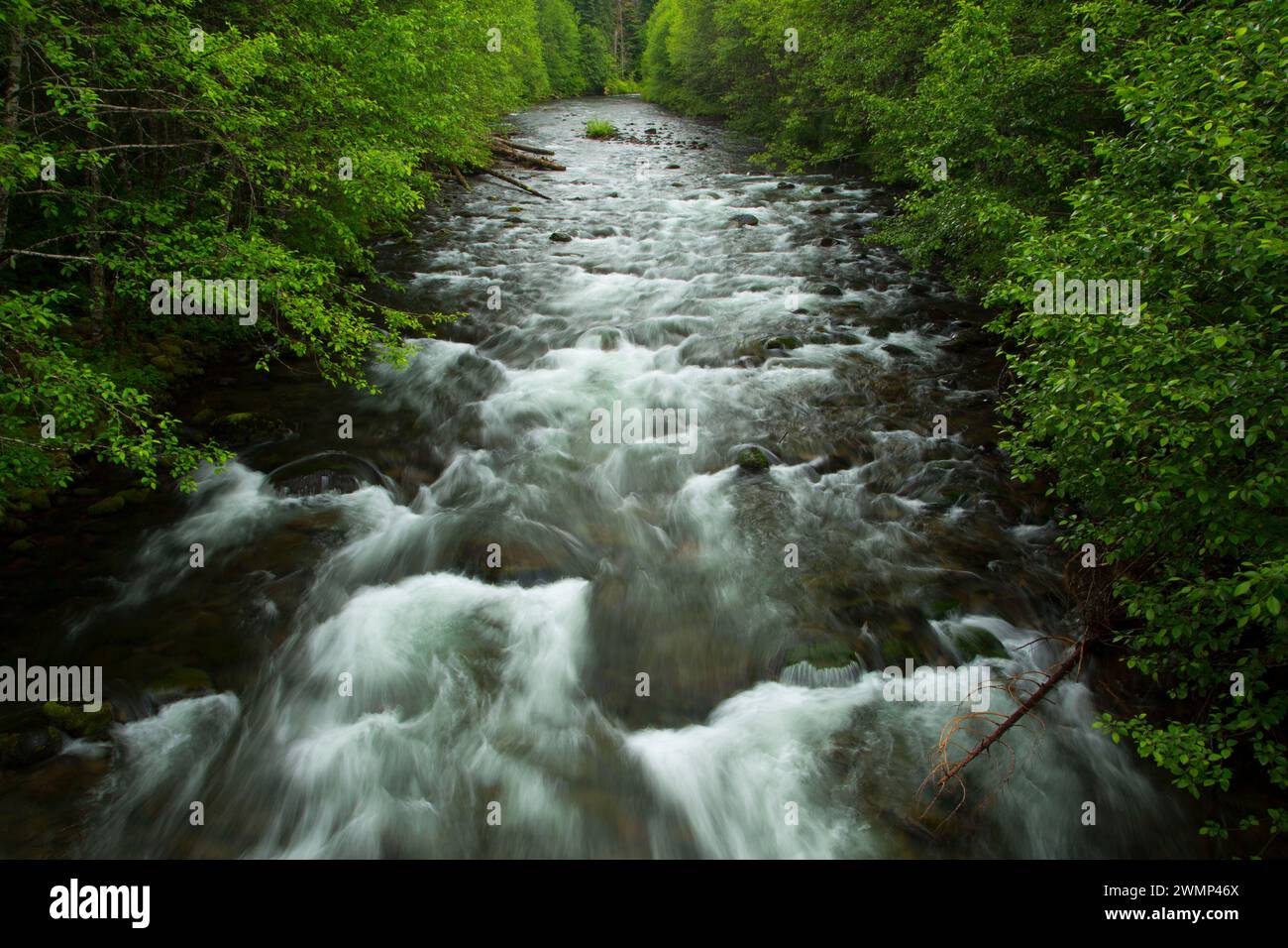 North Santiam River, West Cascades Scenic Byway, Willamette National ...
