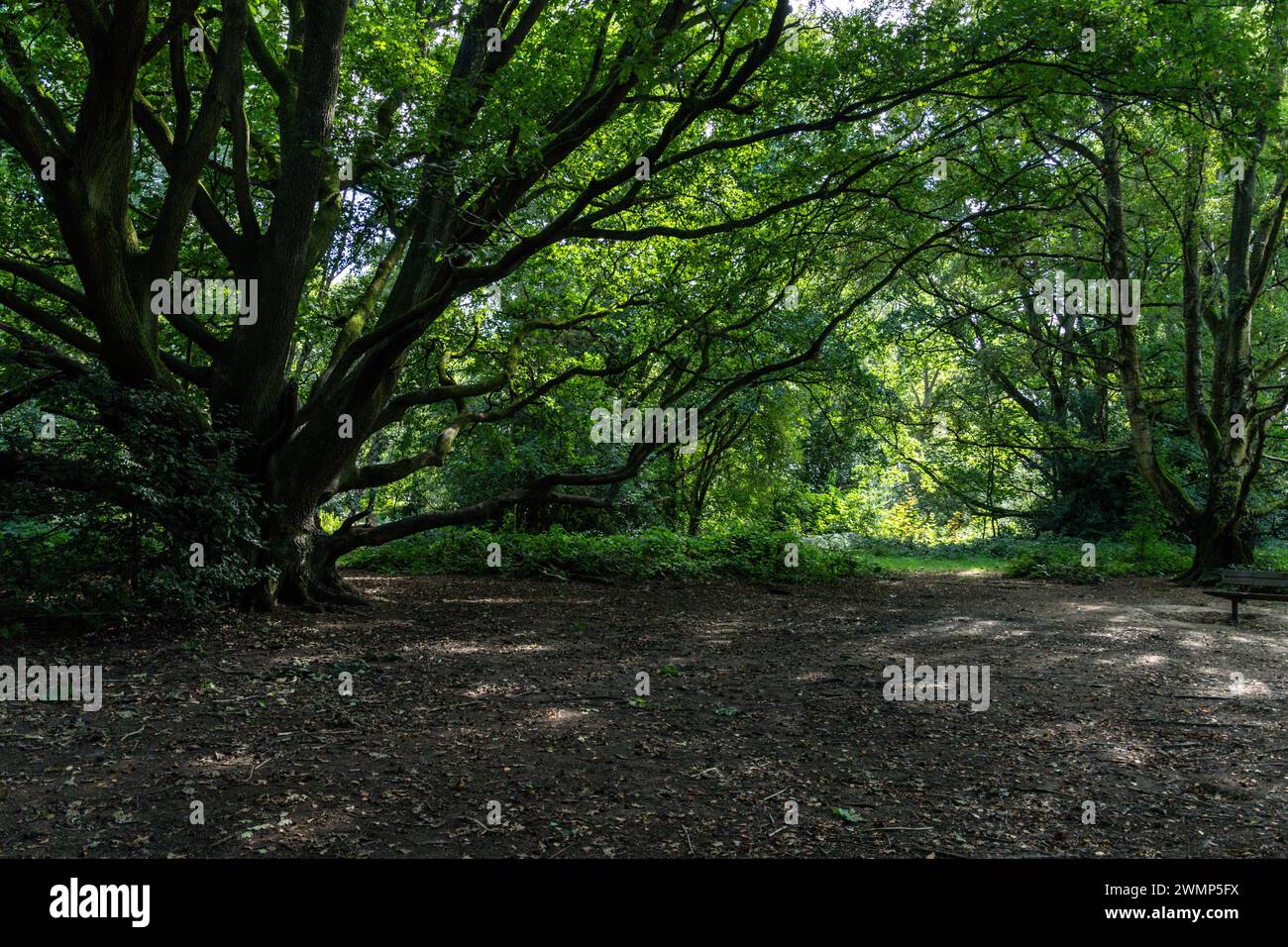 Old english wood hi-res stock photography and images - Alamy