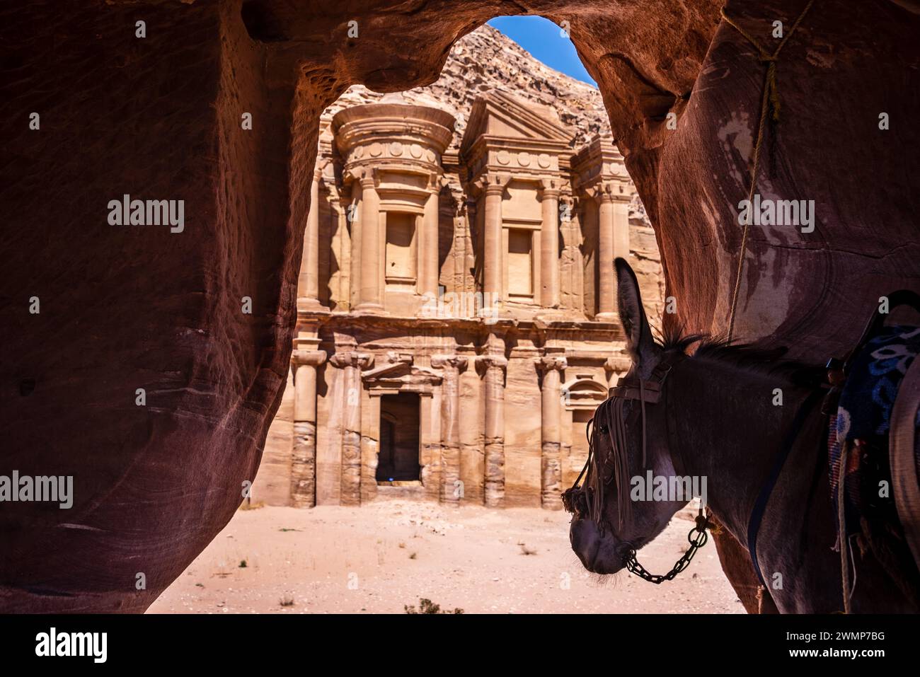 View from inside of a cave of a donkey looking at the Monastery in ...