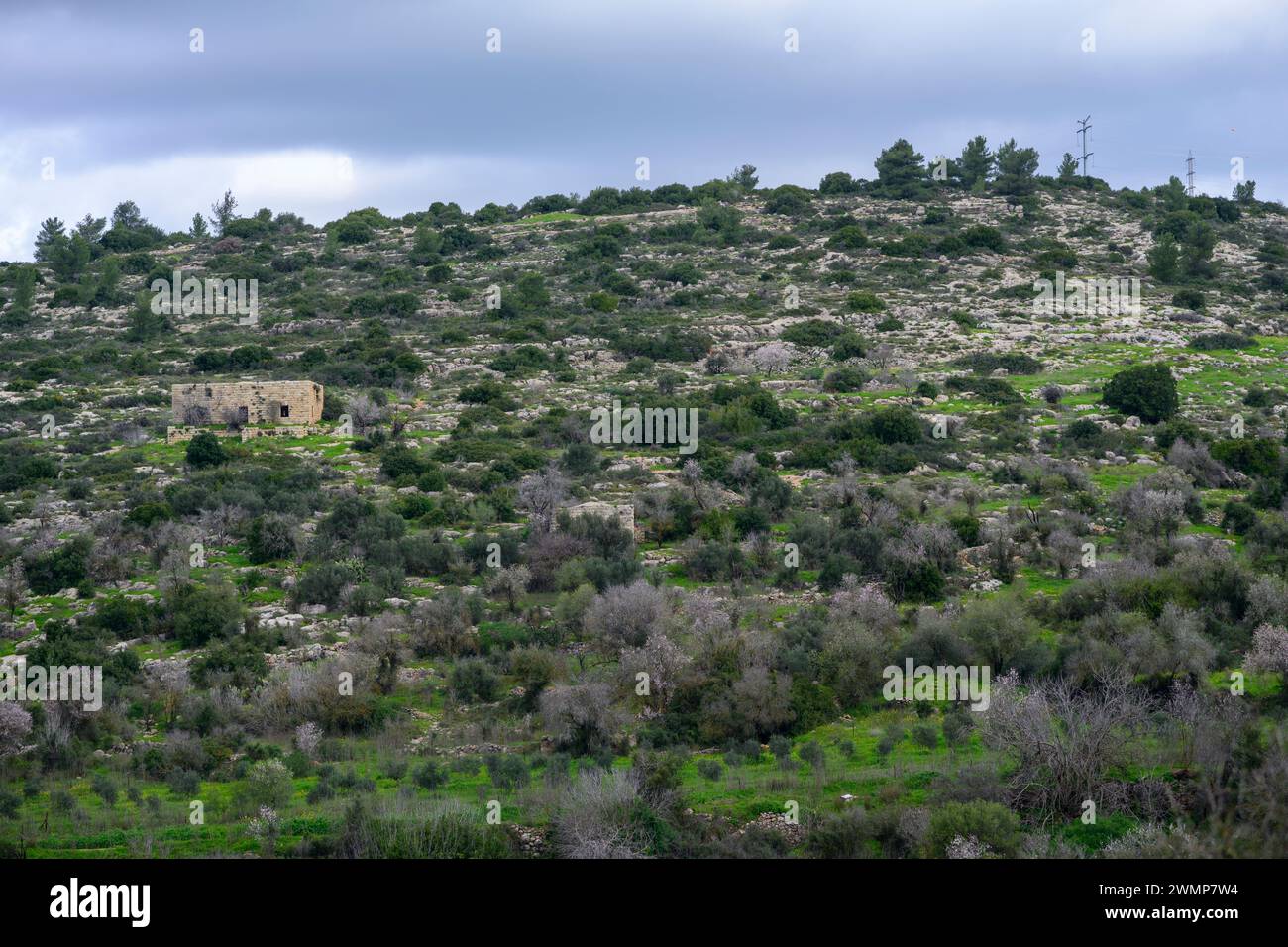 Khirbat Hanut - Ruins of the Khan. Remains of a 14th century roadside ...