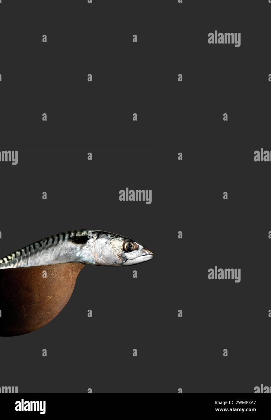 Close-up of a dead mackerel fish sticking its head out of a rusty ladle ...