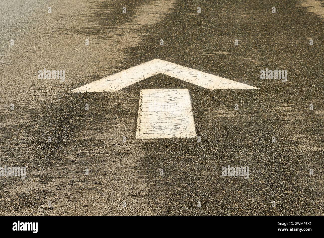 A white arrow sign painted on pavement indicting that the direction to ...