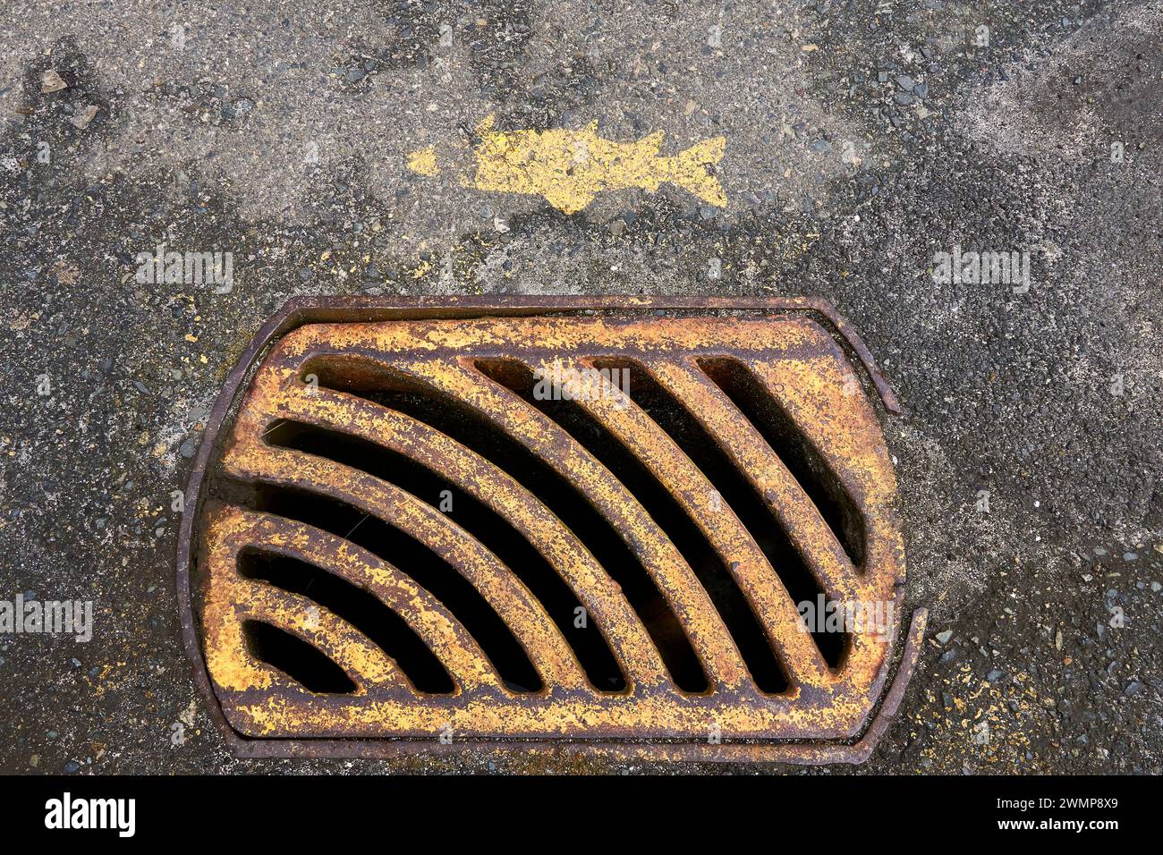 A street drain with an old stencil of a fish on the pavement above it ...