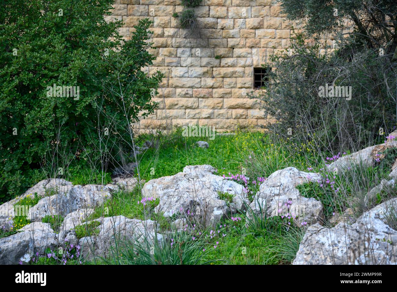 Khirbat Hanut - Ruins of the Khan. Remains of a 14th century roadside ...