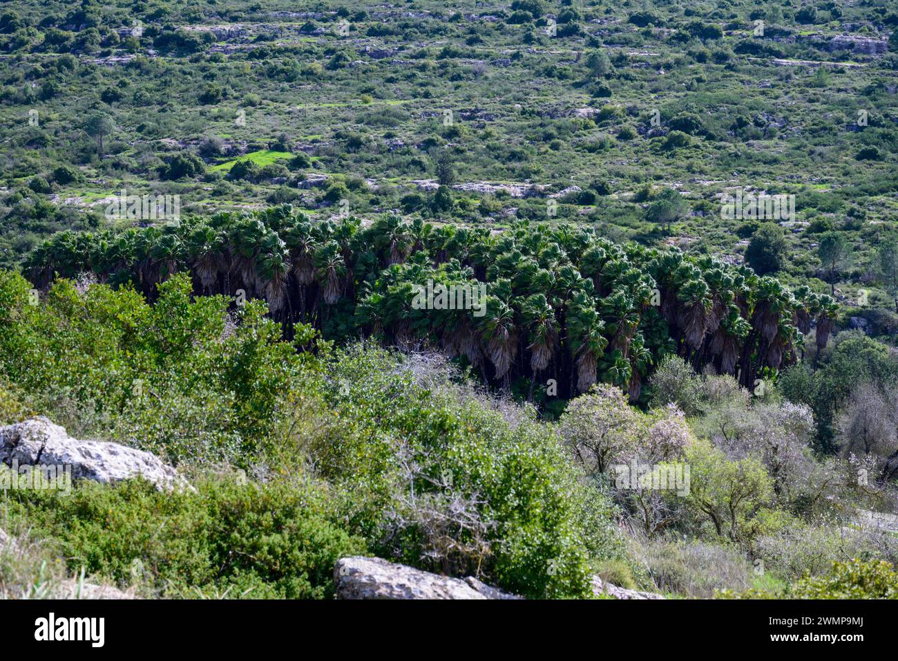 Khirbat Hanut - Ruins of the Khan. Remains of a 14th century roadside ...