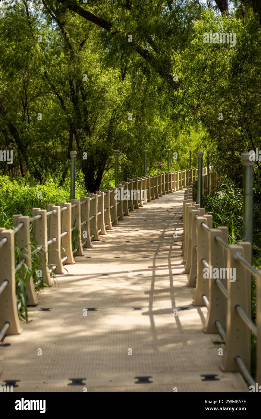 Trail winding through the trees on Lake Weatherford Stock Photo - Alamy