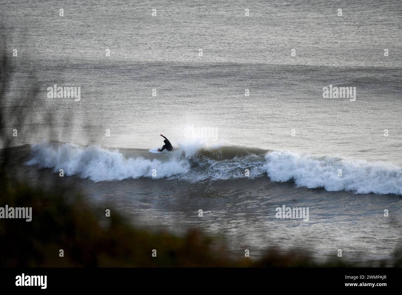 Surfer finds a wave to himself on the Gower. The speed and lightness of ...