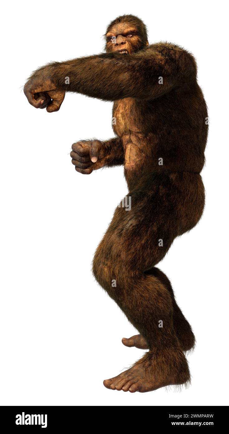 3D rendering of a Sasquatch or Bigfoot isolated on white background ...